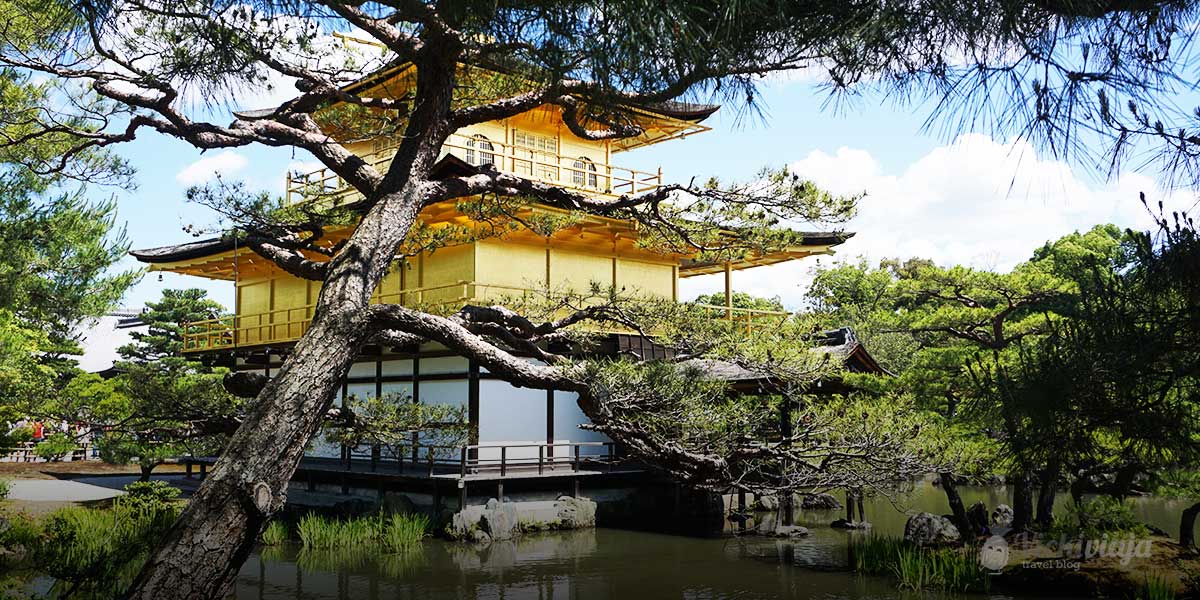 Die Ultimativen Top 5 Kyoto Sehenswürdigkeiten und Tempel